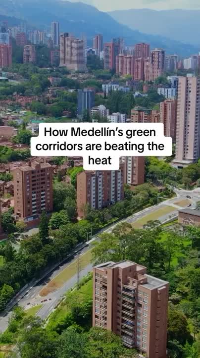 Tamma Carel (PIEMA, FIIRSM, MSc, BSc) on LinkedIn: #sustainability # ... Tamma Carel (PIEMA, FIIRSM, MSc, BSc) on LinkedIn: #sustainability # ...