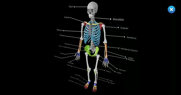 Simulation Stack (EdTech) on LinkedIn: #edtech #edtech #simulationstack ... Simulation Stack (EdTech) on LinkedIn: #edtech #edtech #simulationstack ...