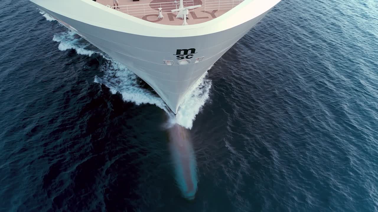 Nini Sokhadze on LinkedIn: F1 with MSC 🛳️🏎️ Nini Sokhadze on LinkedIn: F1 with MSC 🛳️🏎️