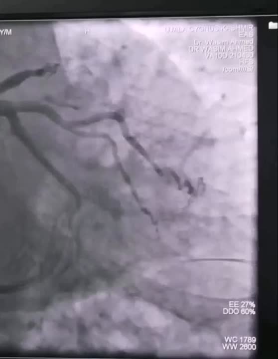 Dr Wasim Ahmed on LinkedIn: #cto Dr Wasim Ahmed on LinkedIn: #cto