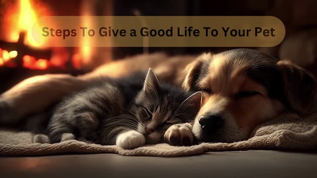 Yukta Vaidya on LinkedIn: Tips To Give Happy Life To Your Pet Visit my ... Yukta Vaidya on LinkedIn: Tips To Give Happy Life To Your Pet Visit my ...
