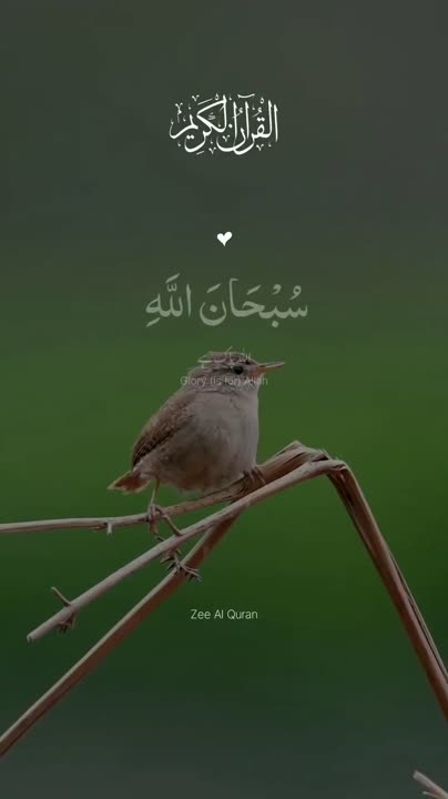 Muhammad Zeeshan posted on LinkedIn Muhammad Zeeshan posted on LinkedIn