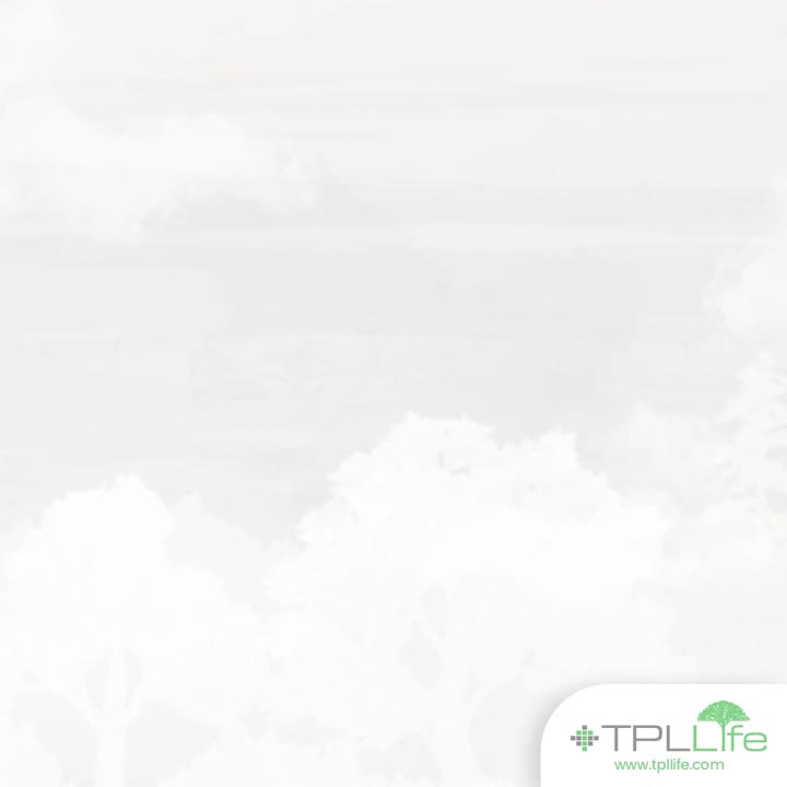 TPL Life Insurance Limited on LinkedIn: #kashmirsolidarityday #tpl # ... TPL Life Insurance Limited on LinkedIn: #kashmirsolidarityday #tpl # ...