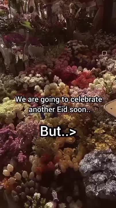 Rimsha Awan on LinkedIn: #freepalestine #genocide Rimsha Awan on LinkedIn: #freepalestine #genocide