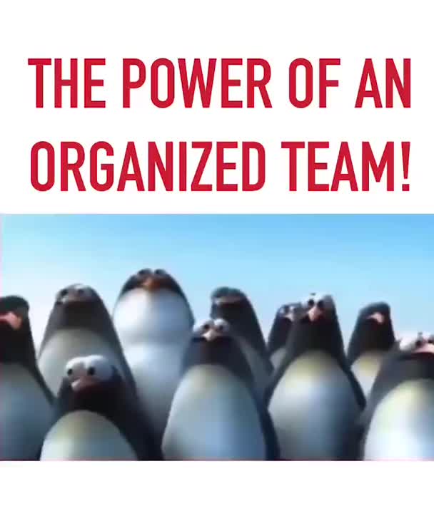 K C Vishnu Prasad posted on LinkedIn K C Vishnu Prasad posted on LinkedIn