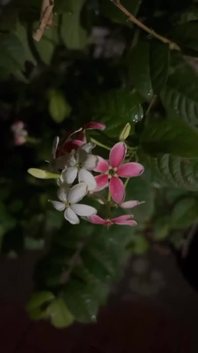 AMAN MISHRA on LinkedIn: , ️ AMAN MISHRA on LinkedIn: , ️