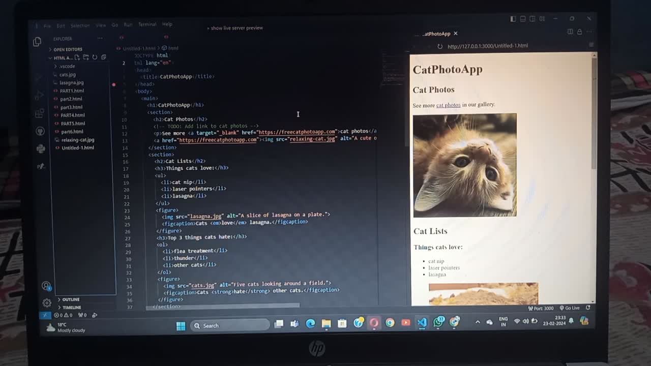 Created a cat photo web page using HTML | Ayan Gouri posted on the ... Created a cat photo web page using HTML | Ayan Gouri posted on the ...