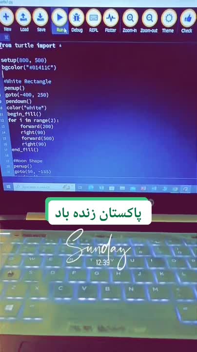 Najaf Ali on LinkedIn: #python #turtle #graphics #mu Najaf Ali on LinkedIn: #python #turtle #graphics #mu