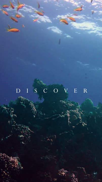 Ahmed Belkassem on LinkedIn: Eager to discover the most outstanding ... Ahmed Belkassem on LinkedIn: Eager to discover the most outstanding ...
