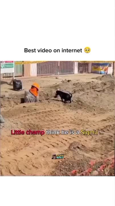Muhammad Ramzan on LinkedIn: #cutekids #funnyvideos #viralvideo # ... Muhammad Ramzan on LinkedIn: #cutekids #funnyvideos #viralvideo # ...