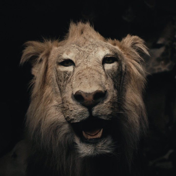 Syed Hasnain Raza on LinkedIn: Dethroned Syed Hasnain Raza on LinkedIn: Dethroned
