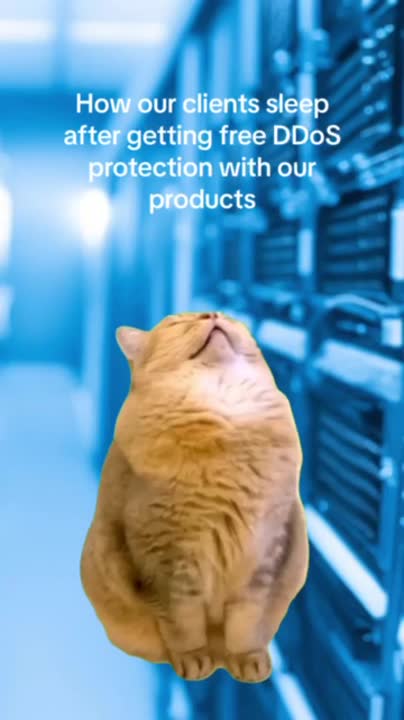 FlokiNET on LinkedIn: #ddos #ddosprotection FlokiNET on LinkedIn: #ddos #ddosprotection