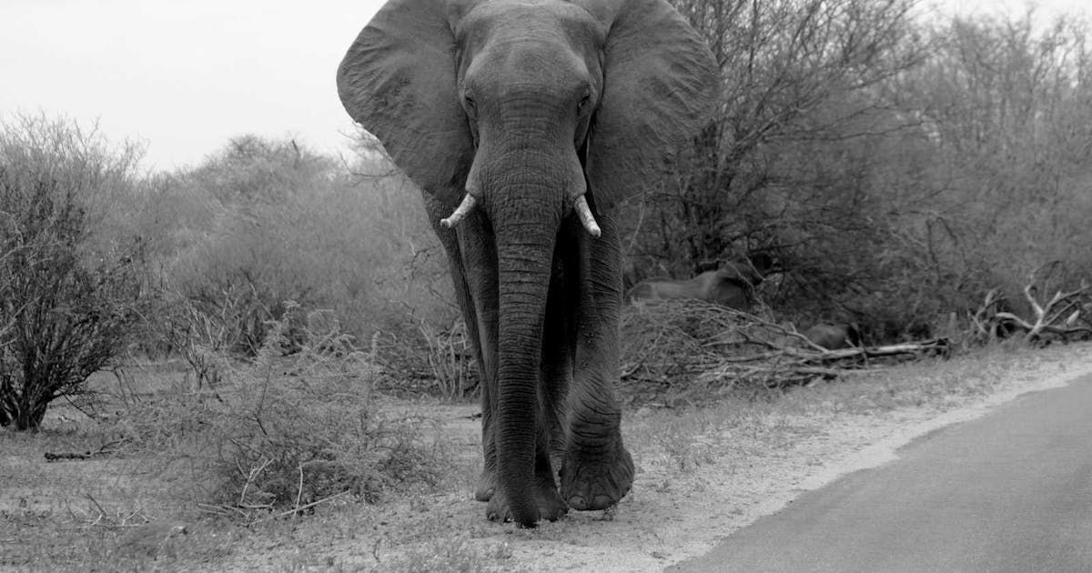 Shiv Iyer on LinkedIn: PostgreSQL Query Lifecycle Explained Shiv Iyer on LinkedIn: PostgreSQL Query Lifecycle Explained