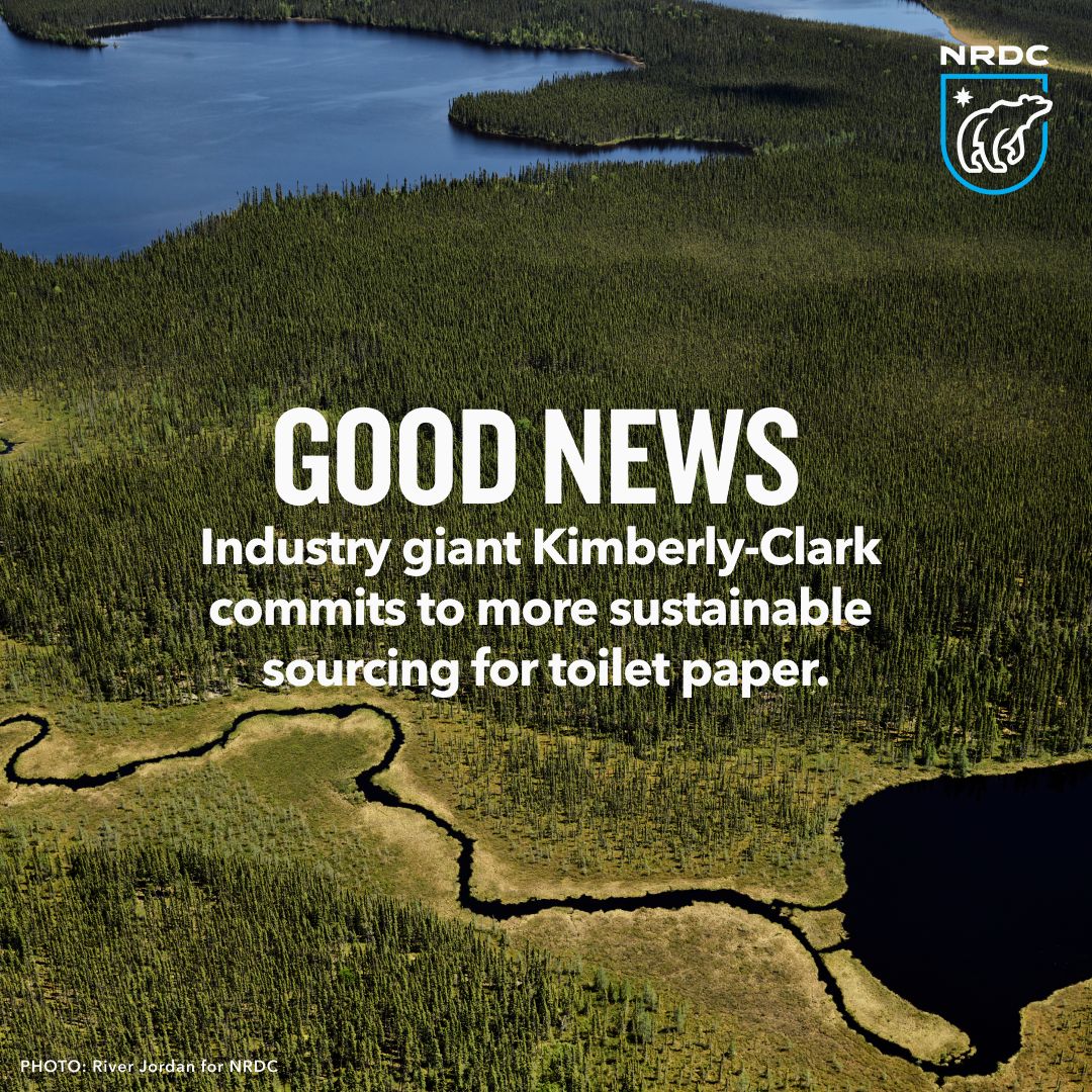 Natural Resources Defense Council (NRDC) on LinkedIn: Kimberly-Clark ... Natural Resources Defense Council (NRDC) on LinkedIn: Kimberly-Clark ...