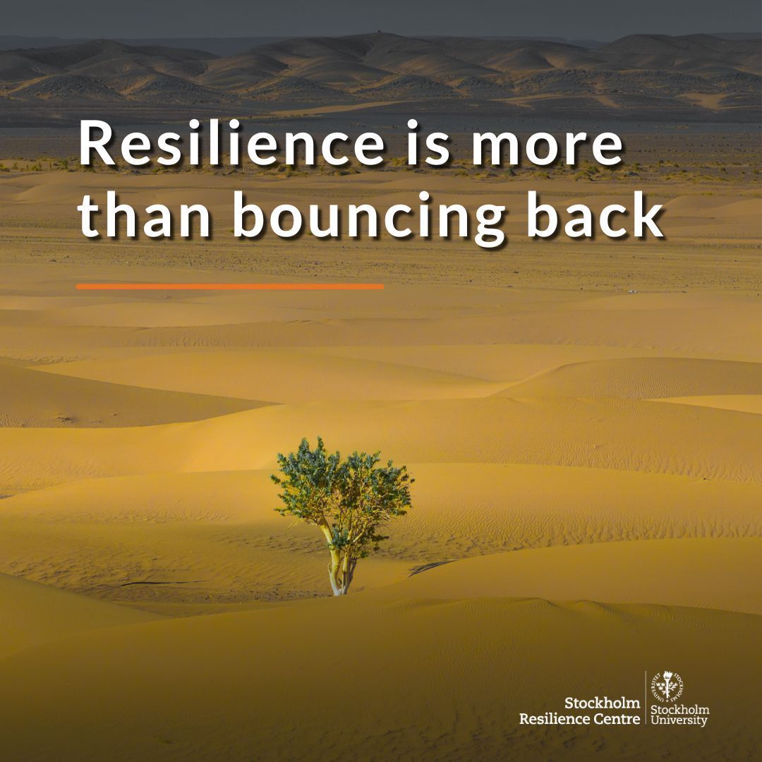 Stockholm Resilience Centre on LinkedIn: Resilience means more than ... Stockholm Resilience Centre on LinkedIn: Resilience means more than ...