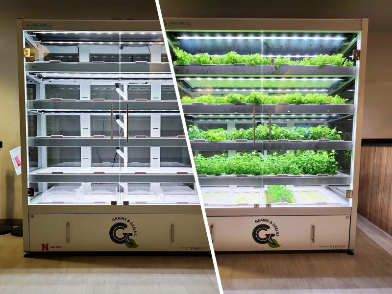 Herbert H. Kliegerman on LinkedIn: Babylon Micro-Farms Herbert H. Kliegerman on LinkedIn: Babylon Micro-Farms