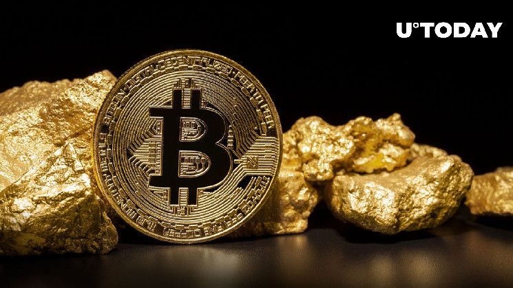 NBTC SAS on LinkedIn: #flashcrash #goldvsbitcoin #bearmarket # ... NBTC SAS on LinkedIn: #flashcrash #goldvsbitcoin #bearmarket # ...