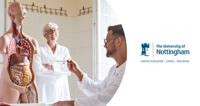 AprenderGratis on LinkedIn: Curso para ser profesor en sector Salud ... AprenderGratis on LinkedIn: Curso para ser profesor en sector Salud ...
