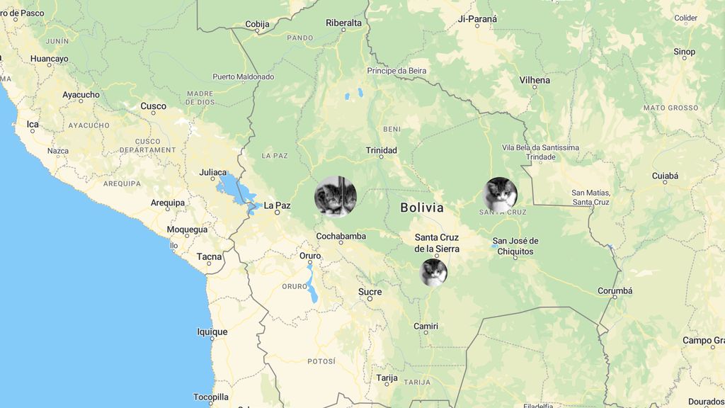 MapTiler on LinkedIn: Add custom icons with markers | JavaScript maps ... MapTiler on LinkedIn: Add custom icons with markers | JavaScript maps ...