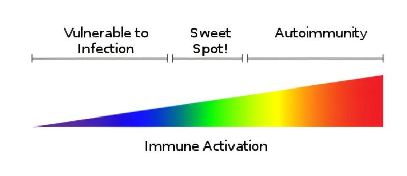 Juan Carlos Ivancevich on LinkedIn: Immune health—an immunologist ... Juan Carlos Ivancevich on LinkedIn: Immune health—an immunologist ...