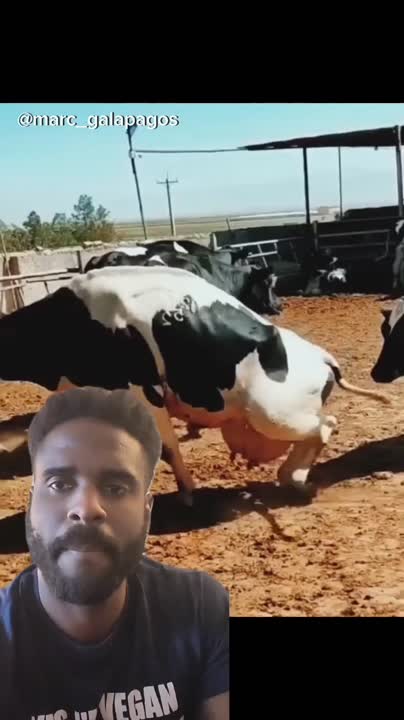 Verel Rodrigues on LinkedIn: They don't put this on cow milk labels ... Verel Rodrigues on LinkedIn: They don't put this on cow milk labels ...