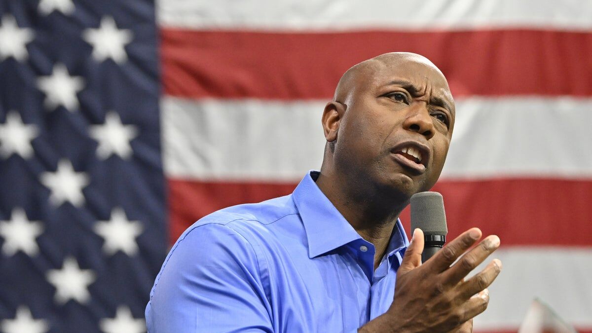 Sanal Kappakkuth on LinkedIn: Fox News Politics: South Carolina chill ... Sanal Kappakkuth on LinkedIn: Fox News Politics: South Carolina chill ...