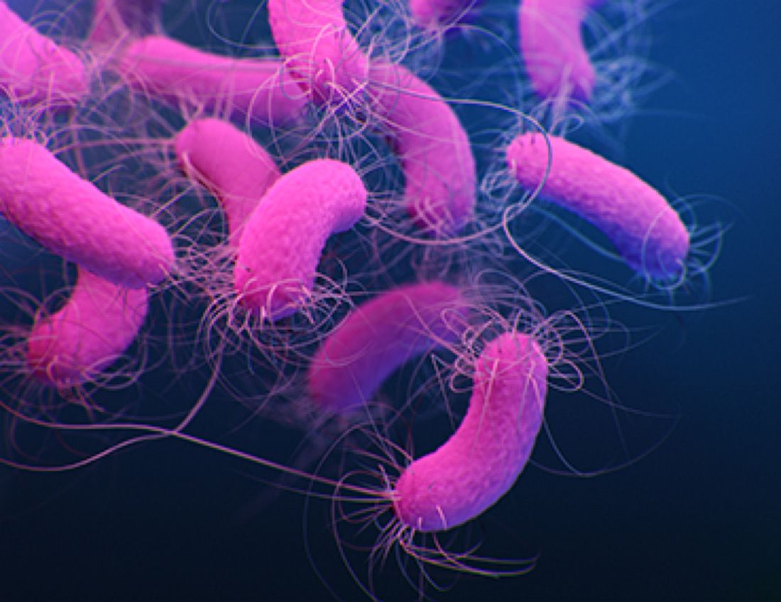 Gaurav Singh on LinkedIn: Pseudomonas aeruginosa Gaurav Singh on LinkedIn: Pseudomonas aeruginosa