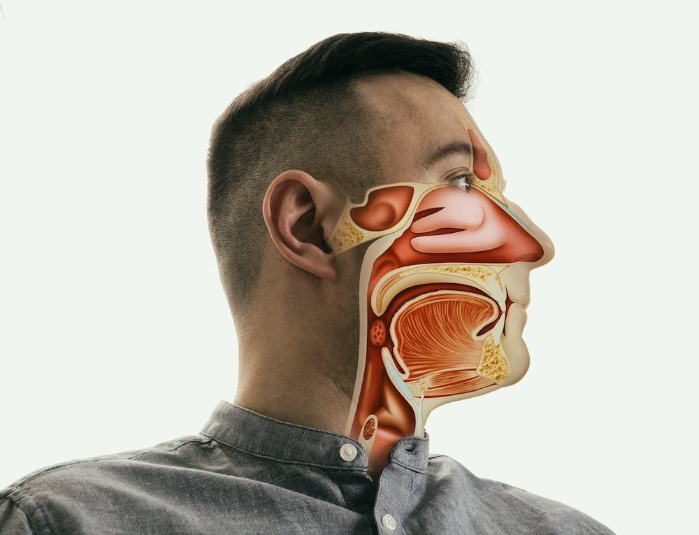 Juan Carlos Ivancevich on LinkedIn: Why is my snot green? How deep are ... Juan Carlos Ivancevich on LinkedIn: Why is my snot green? How deep are ...