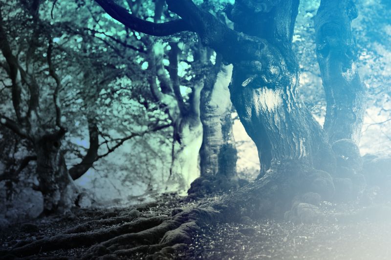 Evitec Solutions on LinkedIn: Sustainability - Evitec Solutions Evitec Solutions on LinkedIn: Sustainability - Evitec Solutions