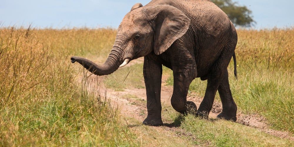 MinervaDB on LinkedIn: Mastering PostgreSQL Performance: Key Impacts ofโฆ MinervaDB on LinkedIn: Mastering PostgreSQL Performance: Key Impacts ofโฆ