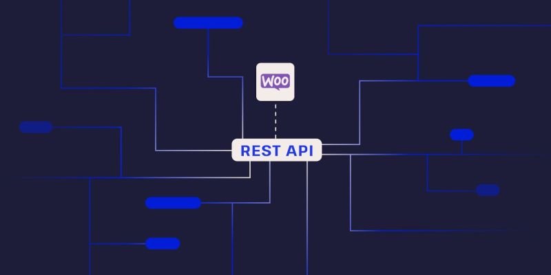 79mplus on LinkedIn: The ultimate WooCommerce REST API handbook ... 79mplus on LinkedIn: The ultimate WooCommerce REST API handbook ...