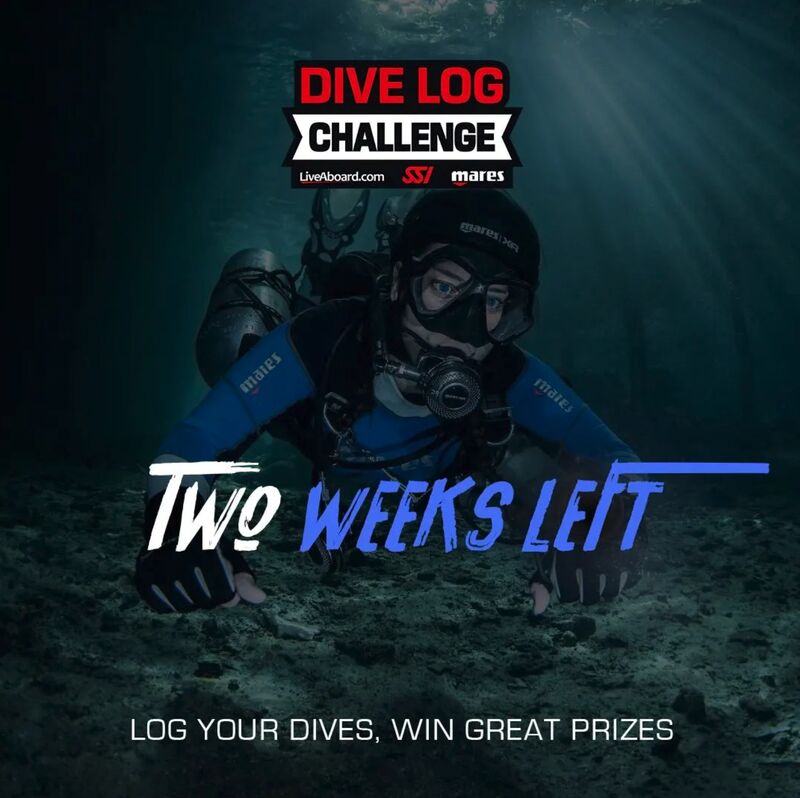 SSI Scuba Schools International on LinkedIn: 2 Weeks left till the end ... SSI Scuba Schools International on LinkedIn: 2 Weeks left till the end ...