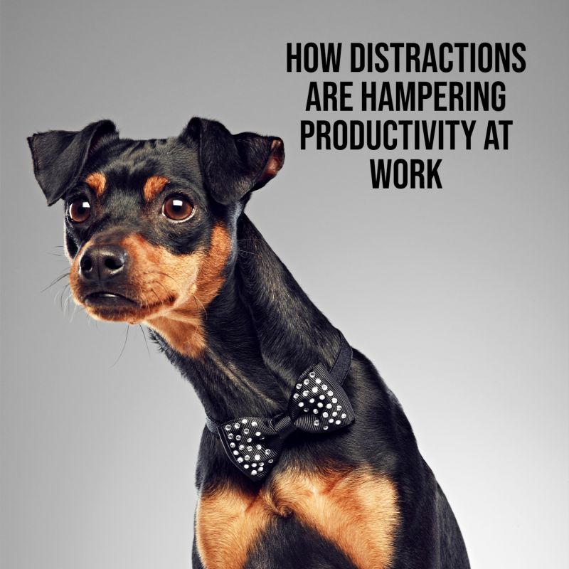 Johanika Pretorius on LinkedIn: #productivity #fullviewsolutions # ... Johanika Pretorius on LinkedIn: #productivity #fullviewsolutions # ...