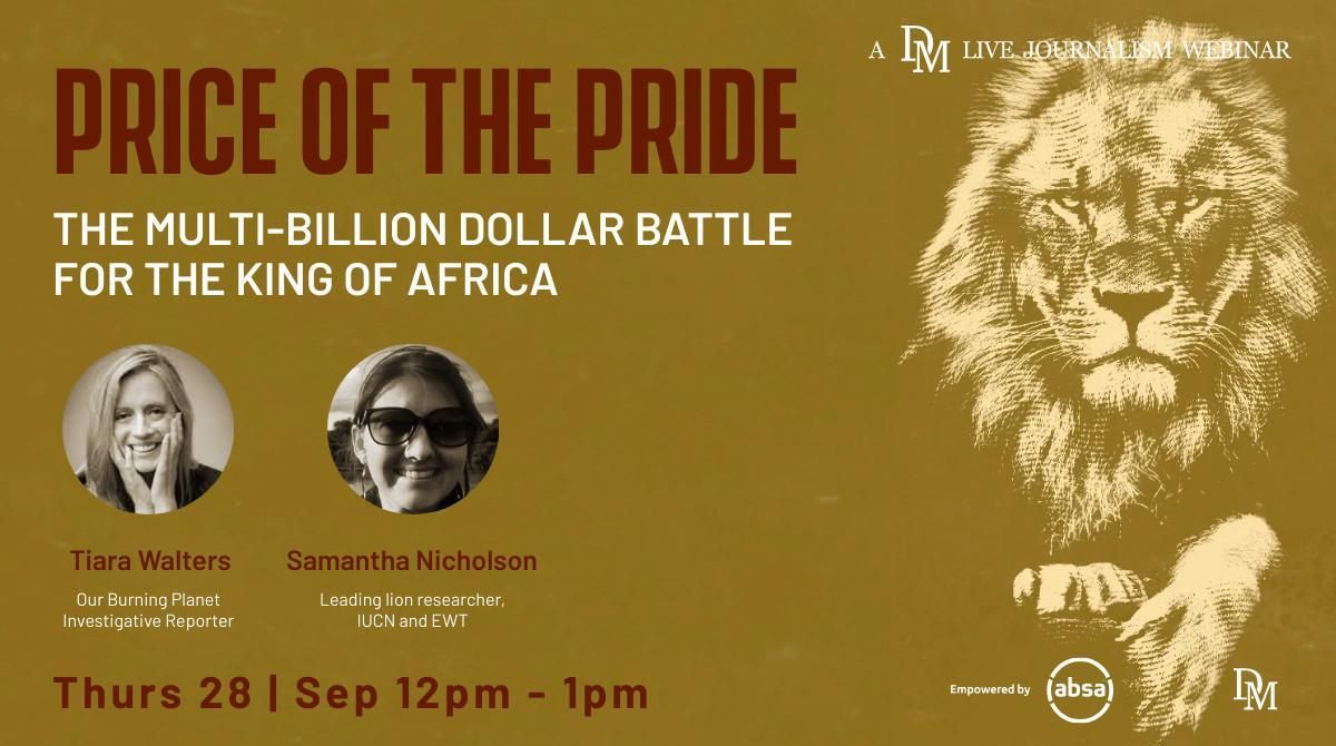 Daily Maverick on LinkedIn: This webinar will uncover... Pioneering ... Daily Maverick on LinkedIn: This webinar will uncover... Pioneering ...