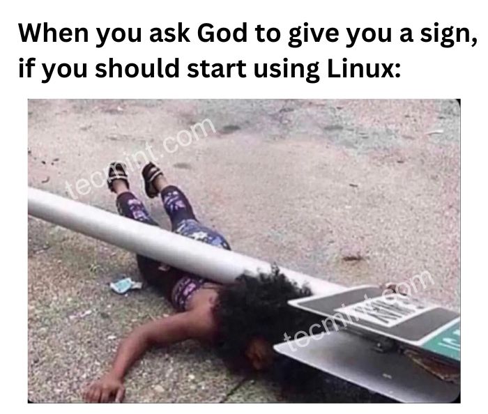 TecMint: Linux Howto's Guide on LinkedIn: #linux TecMint: Linux Howto's Guide on LinkedIn: #linux