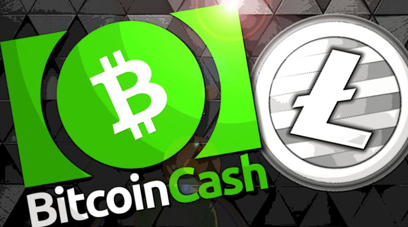 Serougy Crypto Mining on LinkedIn: E-commerce Revolution: Pushd (PUSHD ... Serougy Crypto Mining on LinkedIn: E-commerce Revolution: Pushd (PUSHD ...
