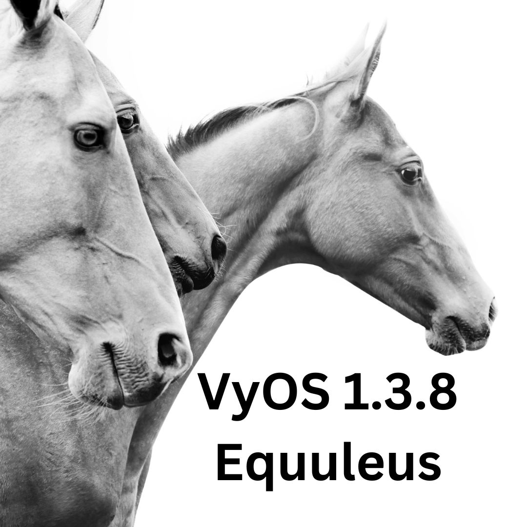 Daniil Baturin on LinkedIn: #vyos #lts #maintenance #release Daniil Baturin on LinkedIn: #vyos #lts #maintenance #release