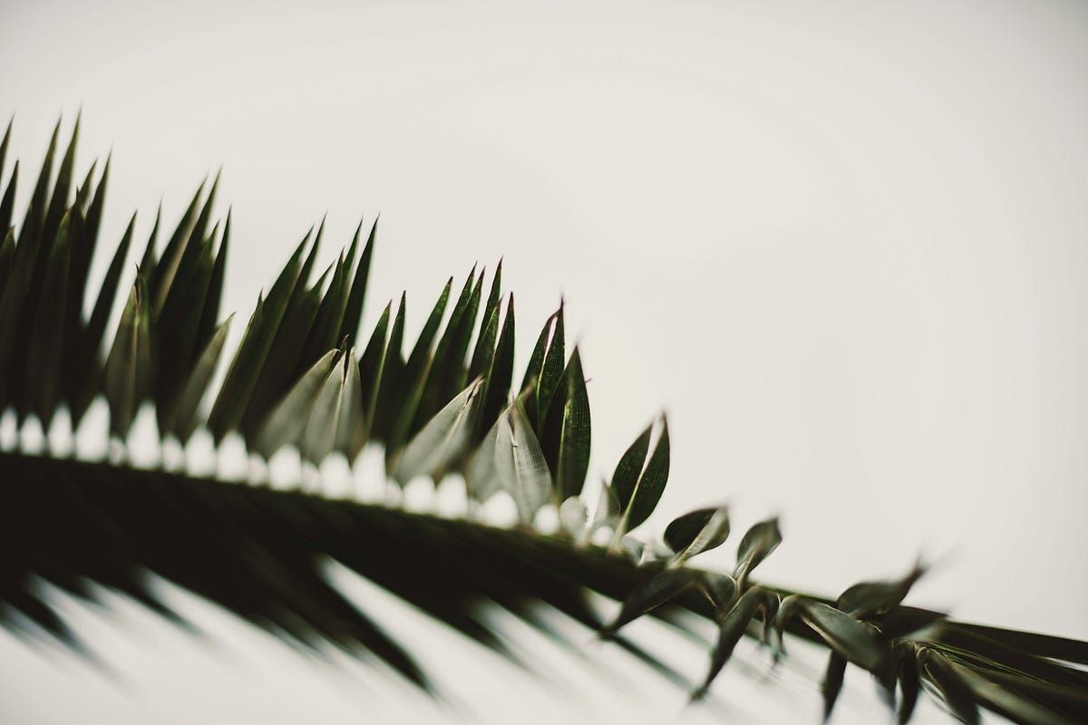 Endatec Soluciones on LinkedIn: Demystifying Natural Language ... Endatec Soluciones on LinkedIn: Demystifying Natural Language ...