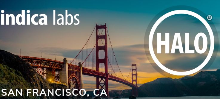 Indica Labs on LinkedIn: #digitalpathology #haloimageanalysis #indicalabs Indica Labs on LinkedIn: #digitalpathology #haloimageanalysis #indicalabs