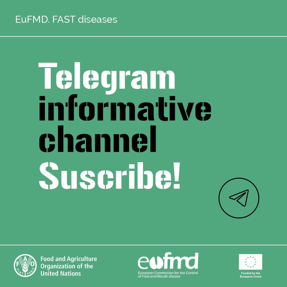 EuFMD on LinkedIn: #eufmd #fmd EuFMD on LinkedIn: #eufmd #fmd