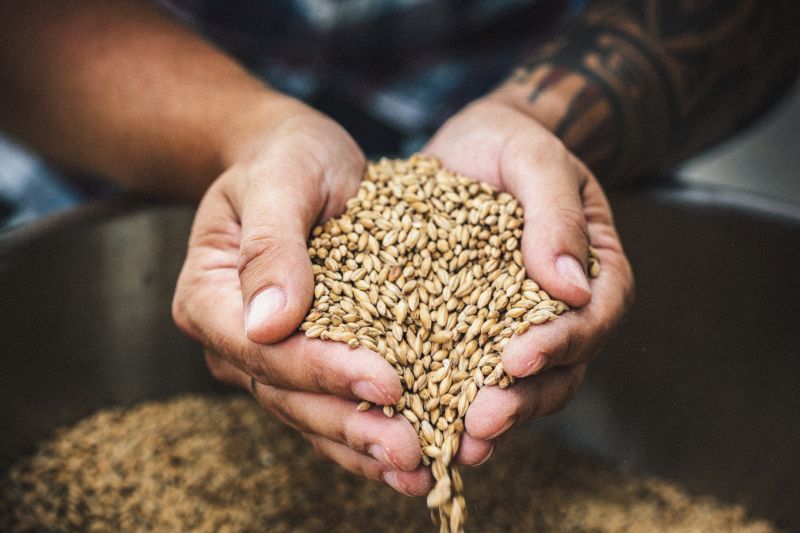 Rodrigo Wawruk on LinkedIn: Nestlé introduces breakthrough sugar ... Rodrigo Wawruk on LinkedIn: Nestlé introduces breakthrough sugar ...