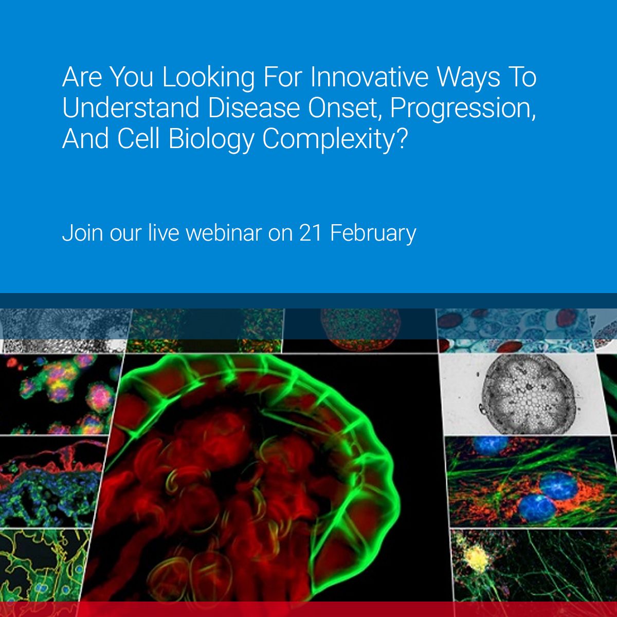 Agilent Cell Analysis on LinkedIn: #cellanalysis Agilent Cell Analysis on LinkedIn: #cellanalysis