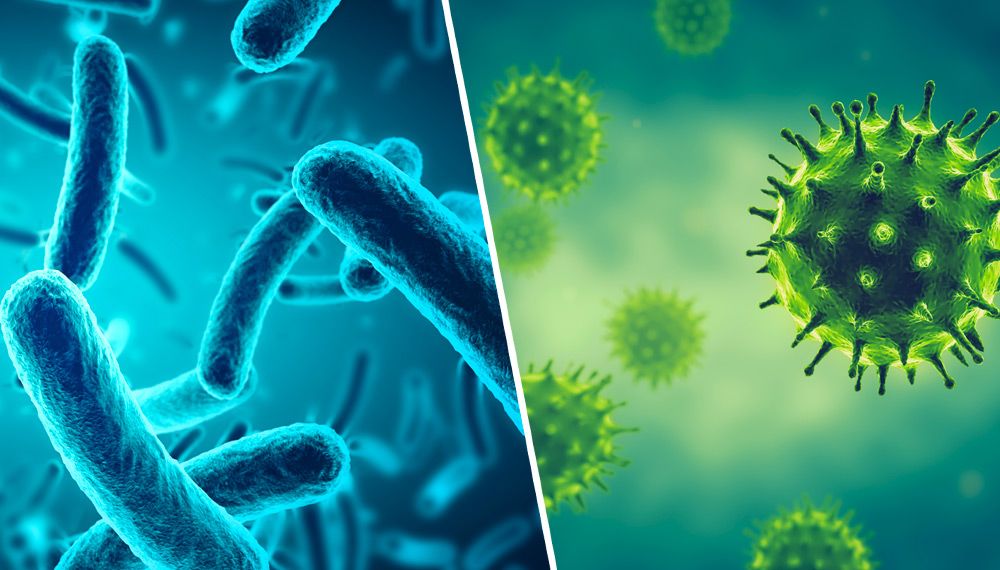Giacomo Purromuto MBA on LinkedIn: Batteri vs Virus: le differenze ... Giacomo Purromuto MBA on LinkedIn: Batteri vs Virus: le differenze ...