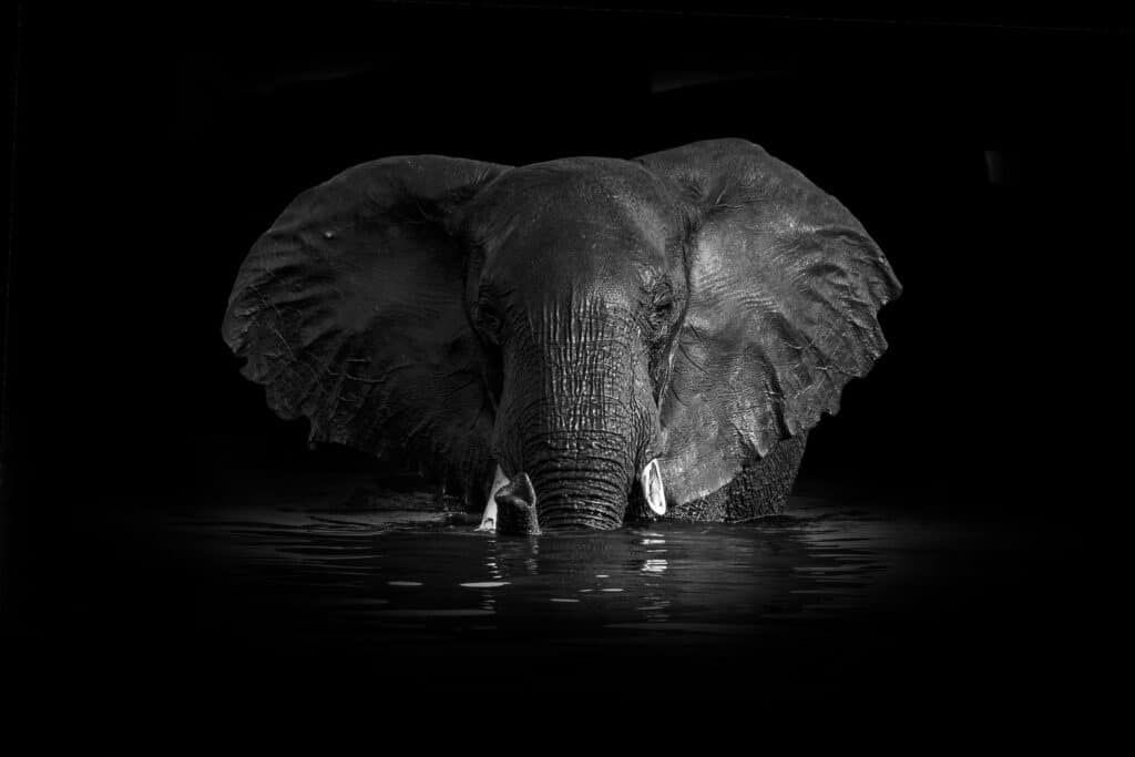 ScaleGrid on LinkedIn: PostgreSQL 16 Released: New Features List ScaleGrid on LinkedIn: PostgreSQL 16 Released: New Features List
