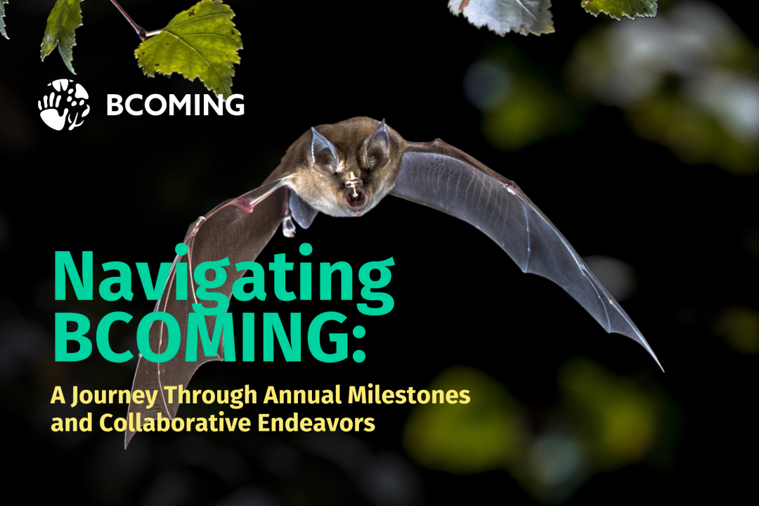Navigating BCOMING: A Journey Through Annual Milestones and ... Navigating BCOMING: A Journey Through Annual Milestones and ...