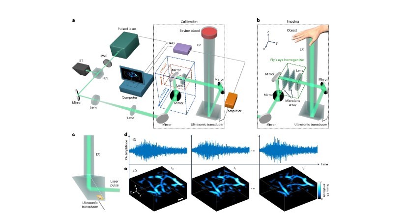 Revolutionizing Medical Imaging: Caltech's PACTER Technology Enhances ... Revolutionizing Medical Imaging: Caltech's PACTER Technology Enhances ...