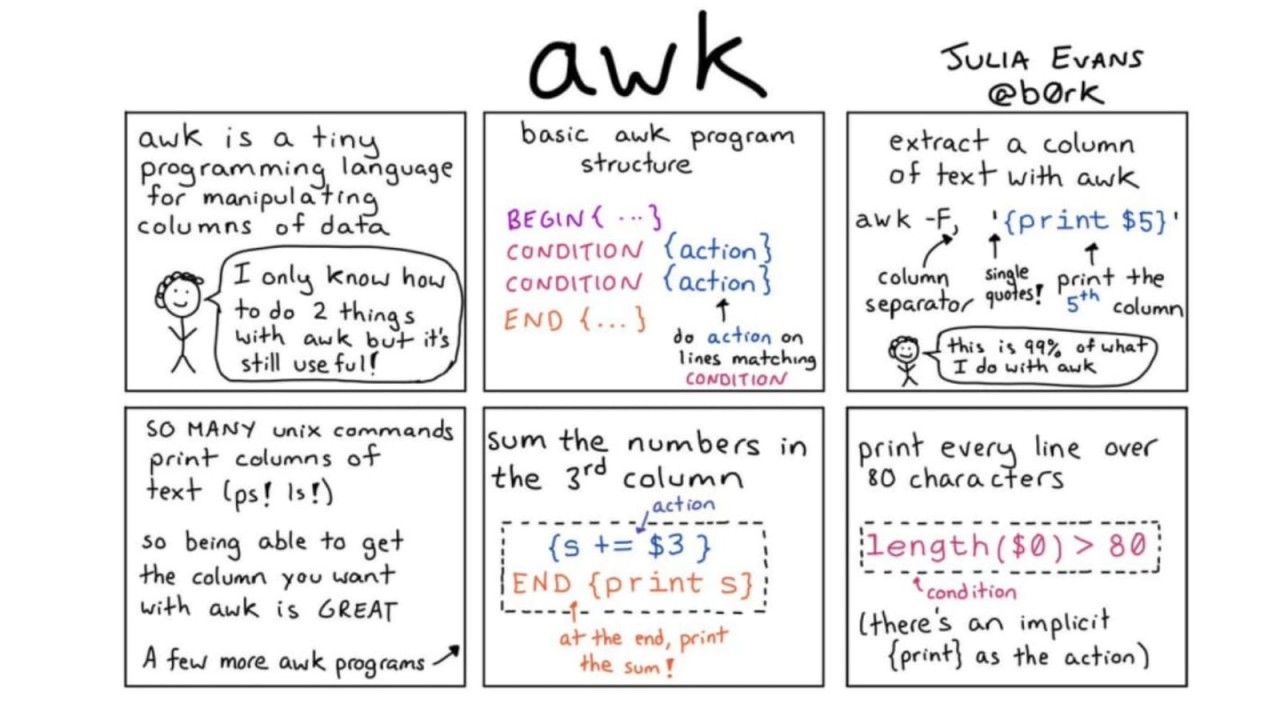 Get the most out of AWK: One Tip for Efficient Text Processing Get the most out of AWK: One Tip for Efficient Text Processing
