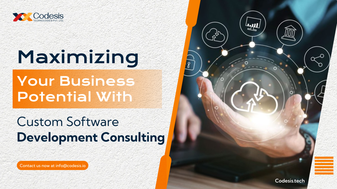 Maximising Business Potential by Custom Software Development Maximising Business Potential by Custom Software Development