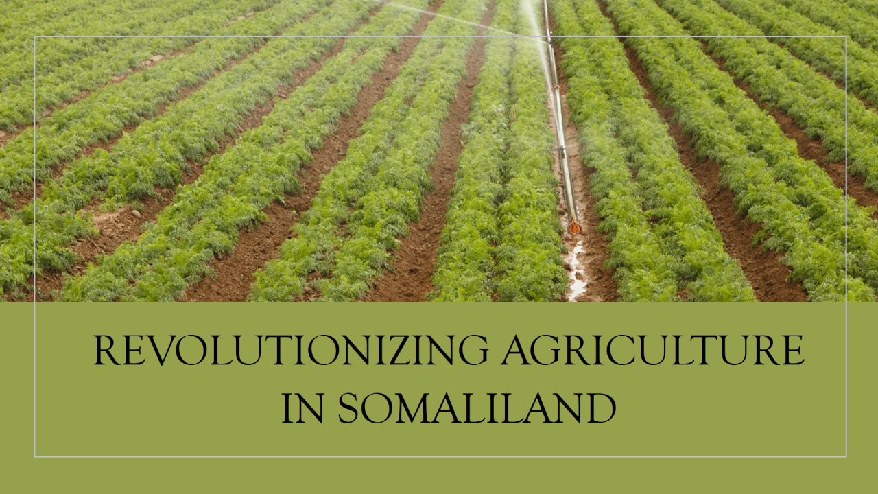 Cultivating a Brighter Future: Five Pillars for Somaliland's ... Cultivating a Brighter Future: Five Pillars for Somaliland's ...