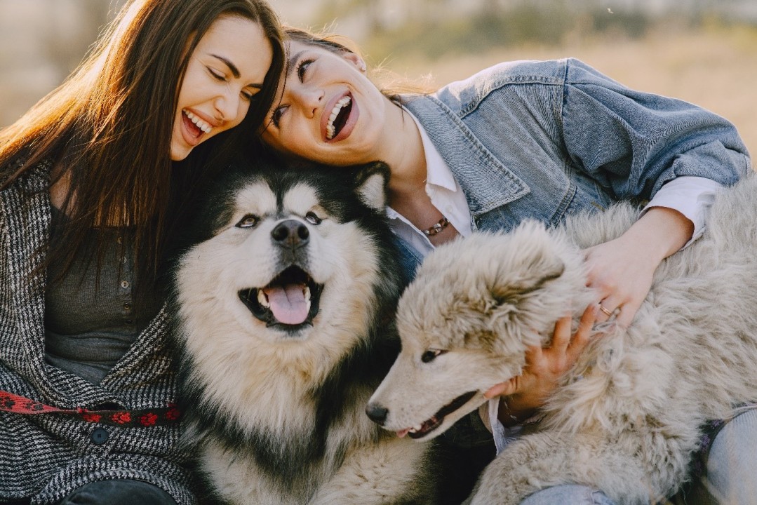 Nurturing Bonds: The Unbreakable Connection Between Pet Parents and ... Nurturing Bonds: The Unbreakable Connection Between Pet Parents and ...